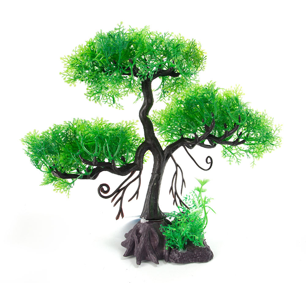 AquaFit Green Cedar Upright Bonsai Plastic Plant 11" – Aquariums West