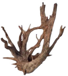 AG Saba Wood XLarge – Aquariums West