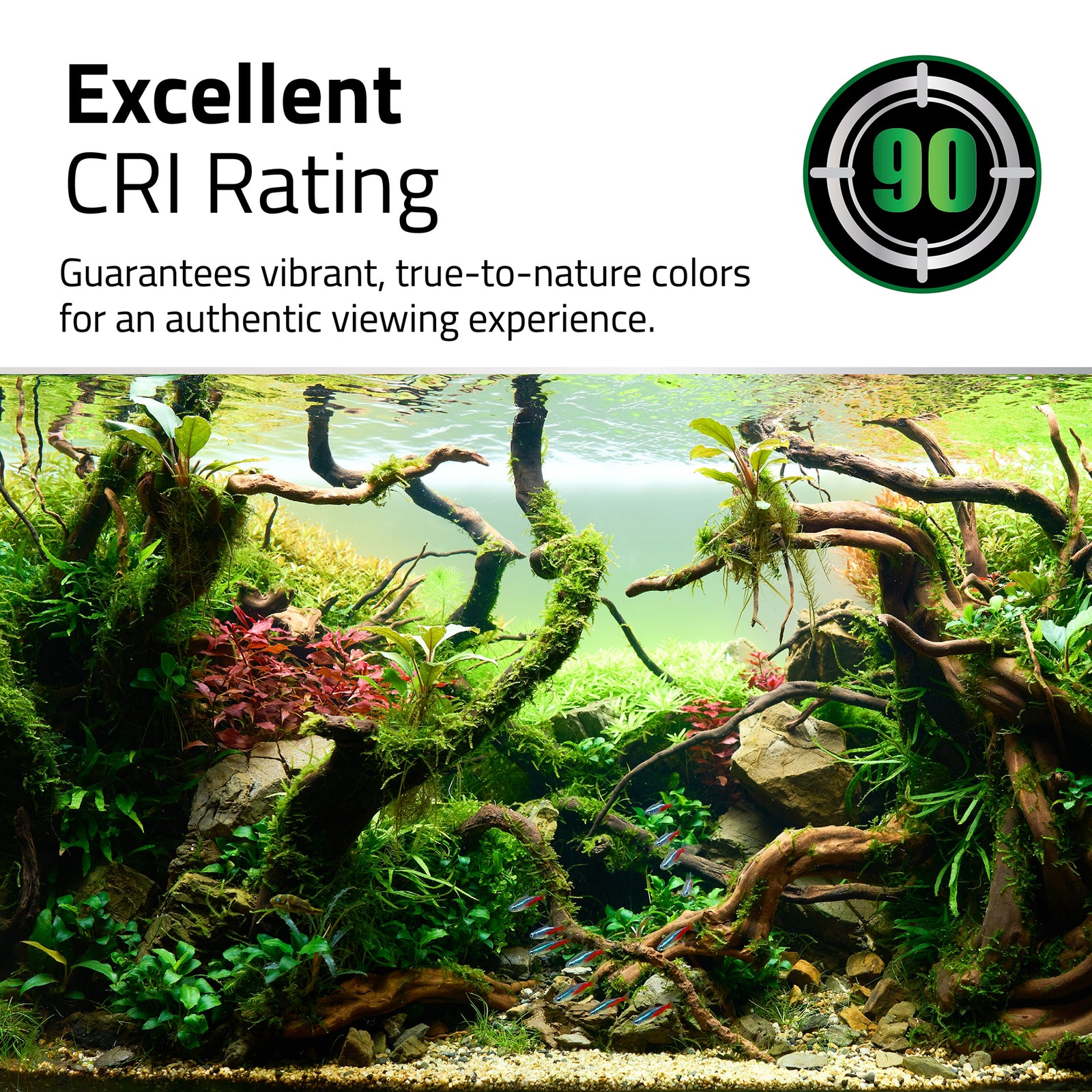 Fluval Plant 4.0 LED for Fresh & Planted Aquariums from 38cm/15" - 155 ...