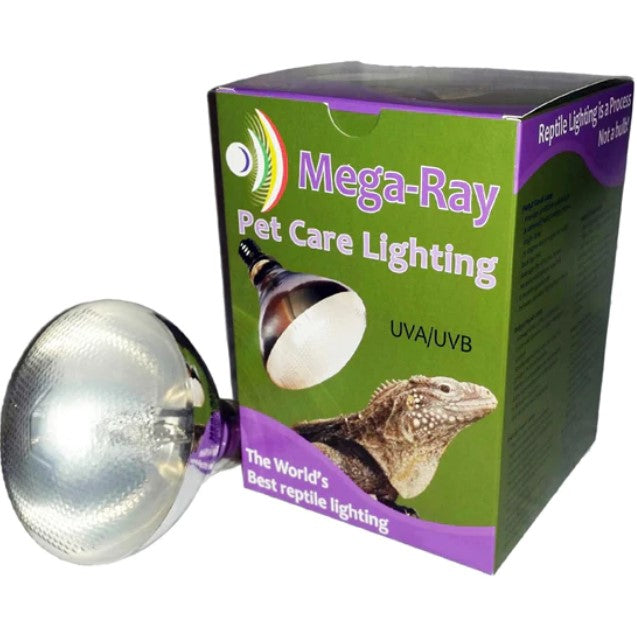 Mega-Ray Self Ballasted Flood UVB Lamp – Aquariums West