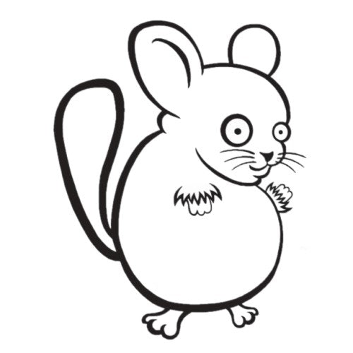 Frozen Mice Hopper 3 Pk – Aquariums West