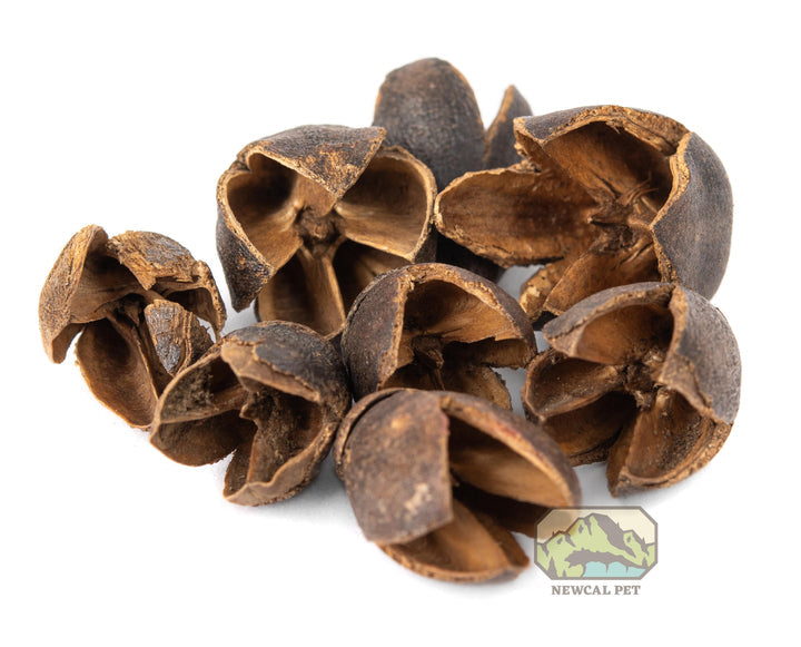 NewCal Bakuli Pods 1 oz. – Aquariums West