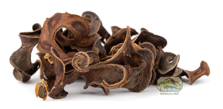 NewCal Curly Pods 0.5oz. – Aquariums West