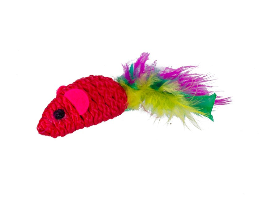 Simons Winding Mouse – Aquariums West